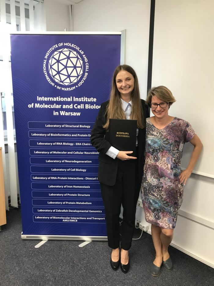 Polskie badaczki odkryły nowy mechanizm regulacji poziomu żelaza w ...